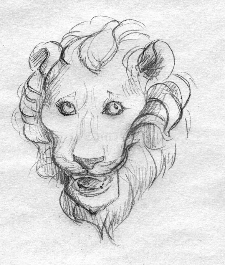 Lion head pencil sketch stock illustration. Illustration of sketchy ...
