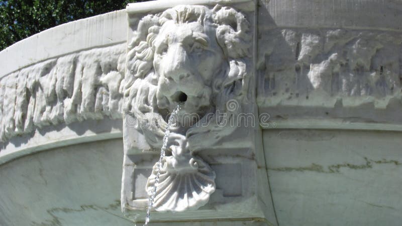 Lion head shape stock photo. Image of lion, beautiful - 87756326