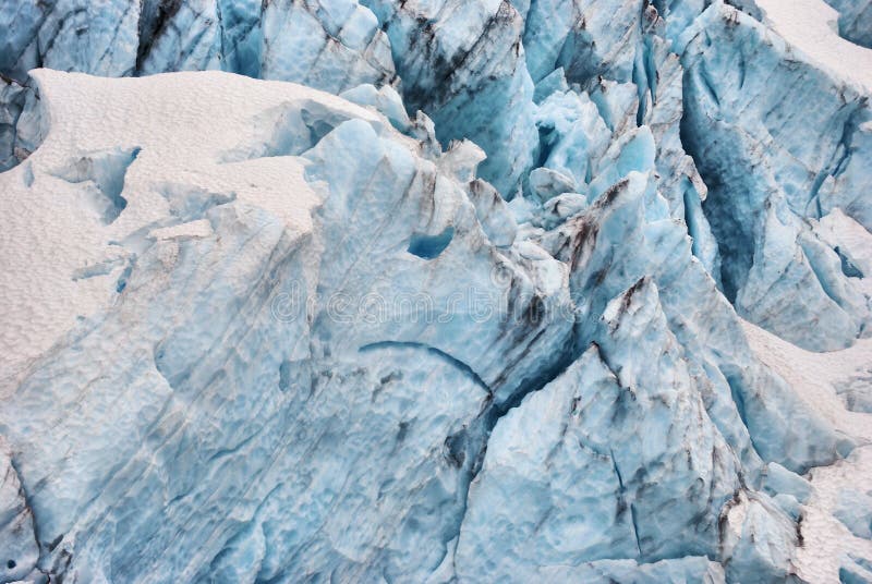 Lion in the Ice stock photo. Image of lion, frigid, animal - 7626566