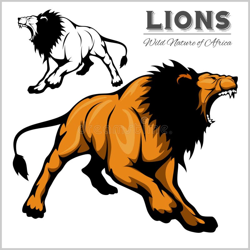 Lion Jump - Vector Illustration Isolated on White Stock Vector ...