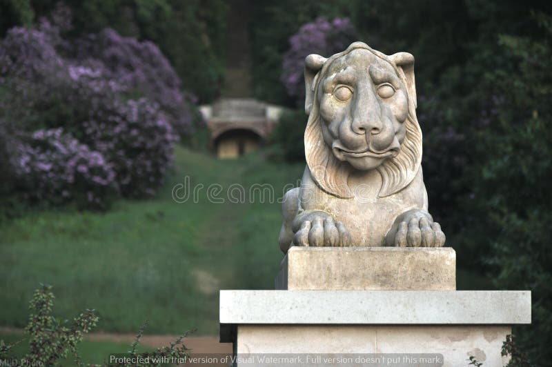 Lion King Dorking stock image. Image of head, gargoyle - 191160743