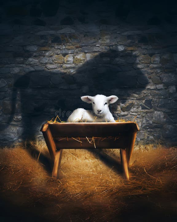 Lion and Lamb nativity stock image. Image of stable - 263950457