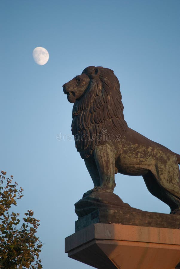 The lion and the moon stock image. Image of marble, head - 234123129