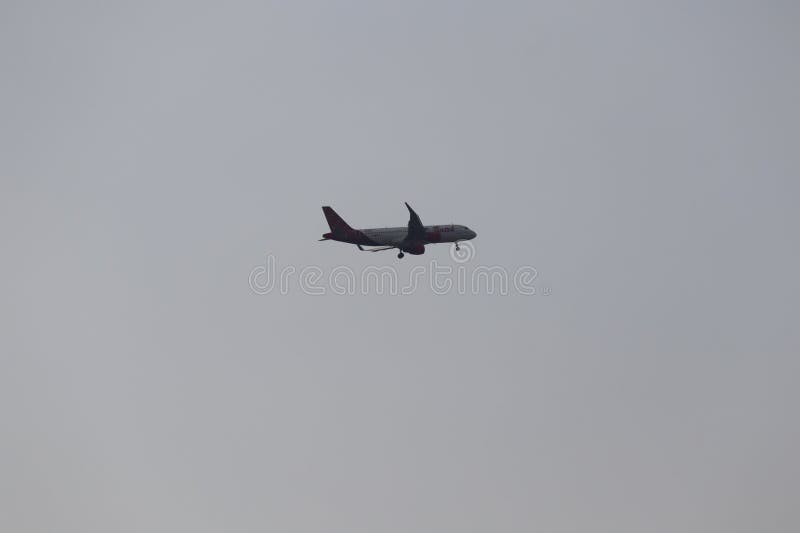 Lion Plane Flying in the Sky Editorial Image - Image of airliner ...