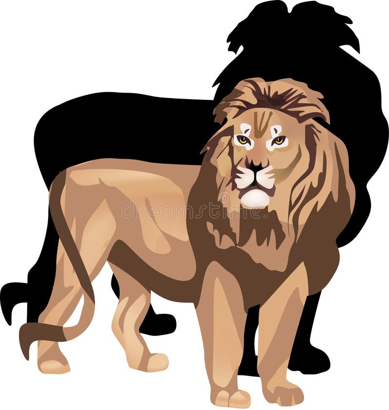 Lion and Shadow Illustration Stock Vector - Illustration of head ...