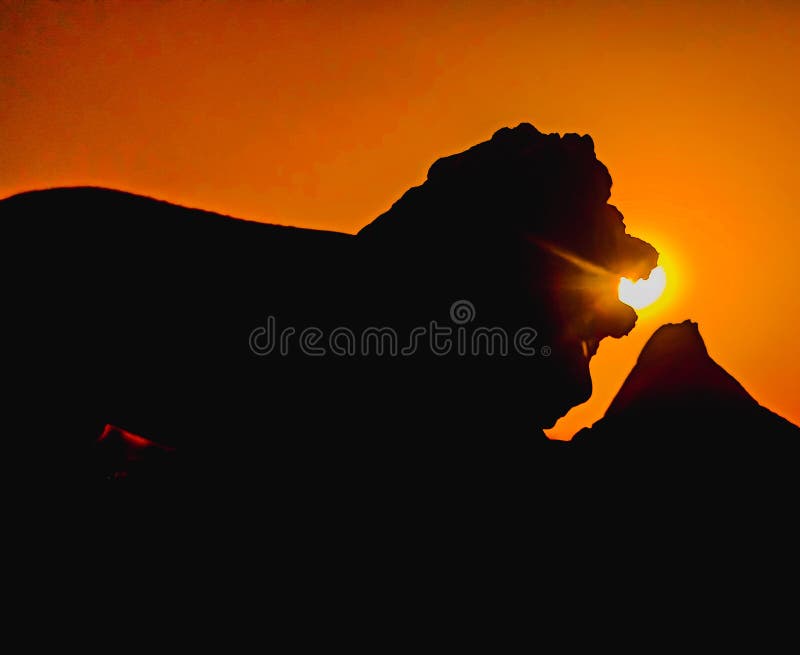 Lion Standing in Front of Sun Stock Photo - Image of sunlight, mountain ...