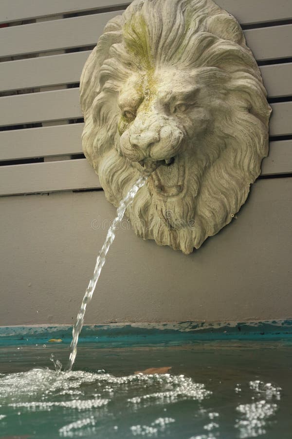 Lion Statue Spitting Water At The Park Stock Photo - Image of animal ...