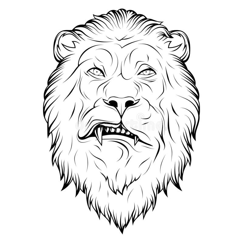 Roaring Lion Face Sketch Stock Illustrations – 380 Roaring Lion Face ... Roaring Lion Face Sketch Stock Illustrations – 380 Roaring Lion Face ...