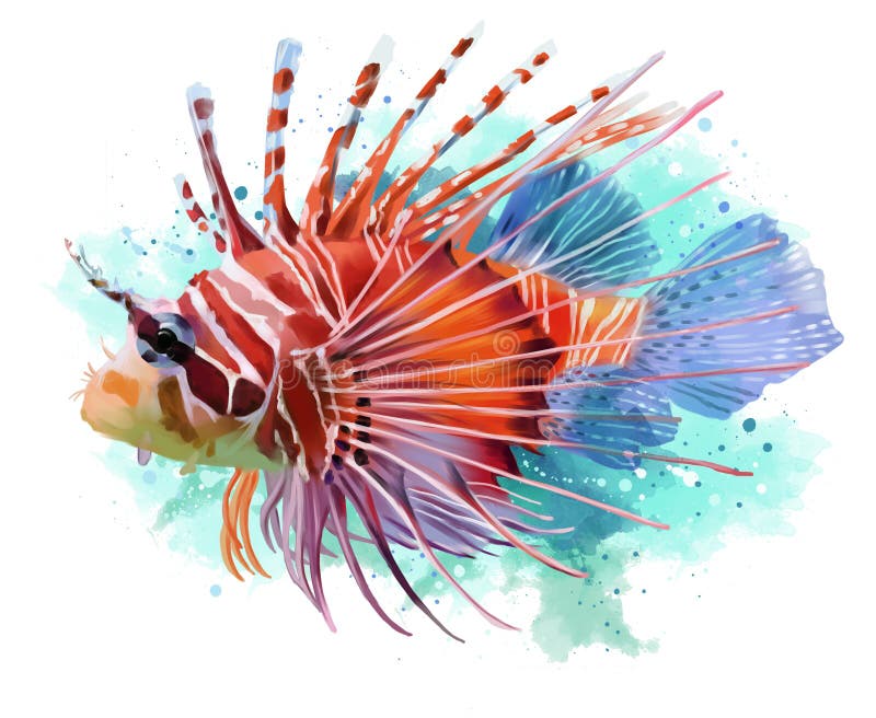 Colorful Lionfish