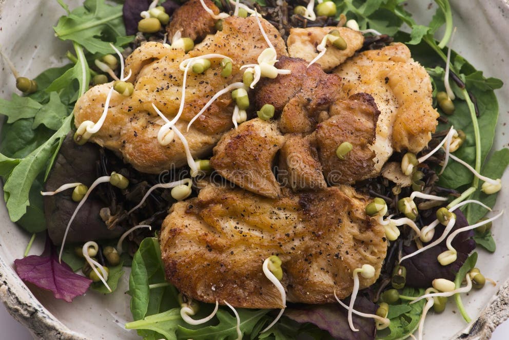 Lions Mane Fried with Salad Stock Photo - Image of white, produce ...