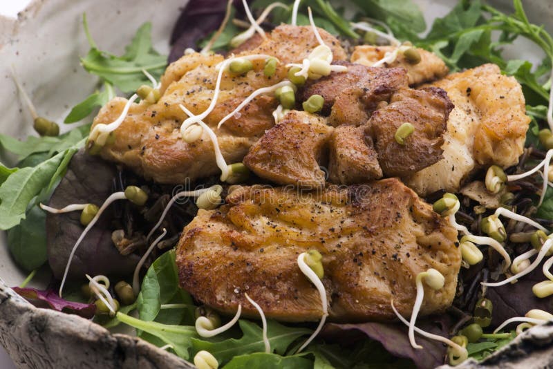 Lions Mane Fried with Salad Stock Photo - Image of lions, fresh: 330558314