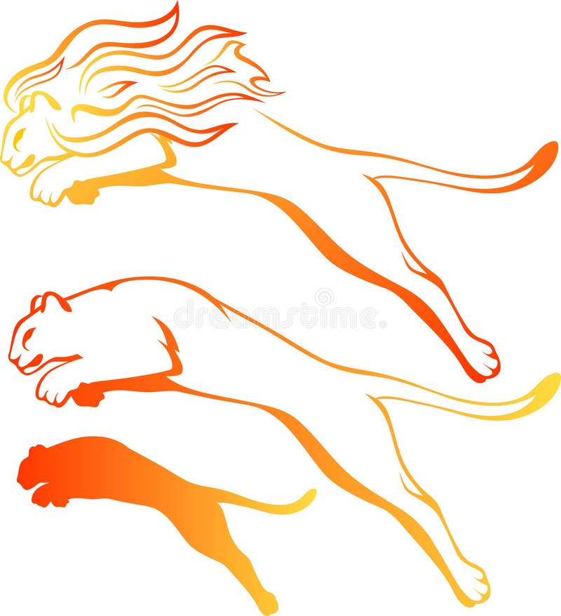 Lion jumping vector stock vector. Illustration of panther - 19284902