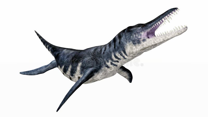 Liopleurodon stock illustration. Illustration of animal - 28539910