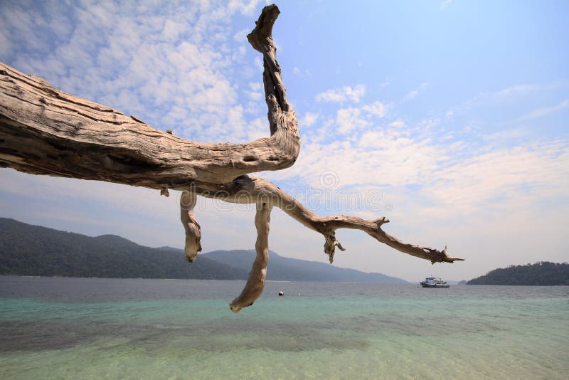 Lipe island Thailand stock image. Image of heap, beach - 24681045