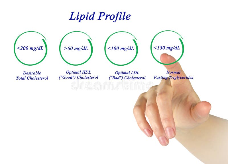 Lipid profile stock photo. Image of result, lipid, cholesterol - 85683652