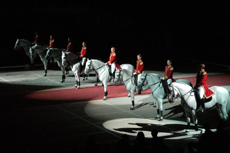 Lipizzaner Stallions Show editorial stock image. Image of rider - 6187019