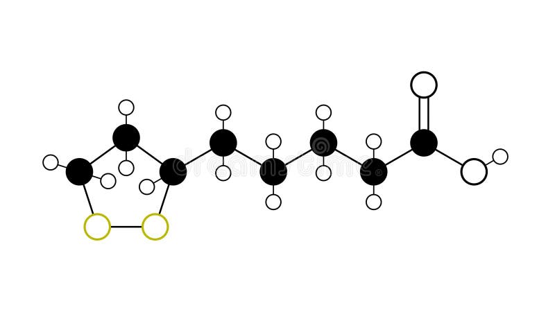 Lipoic Acid Molecule, Structural Chemical Formula, Ball-and-stick Model ...