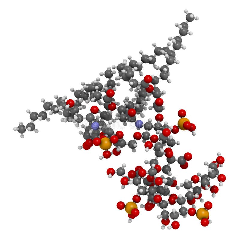 Lipopolysaccharide LPS, Lipid a and Inner Core Fragment Endotoxin ...