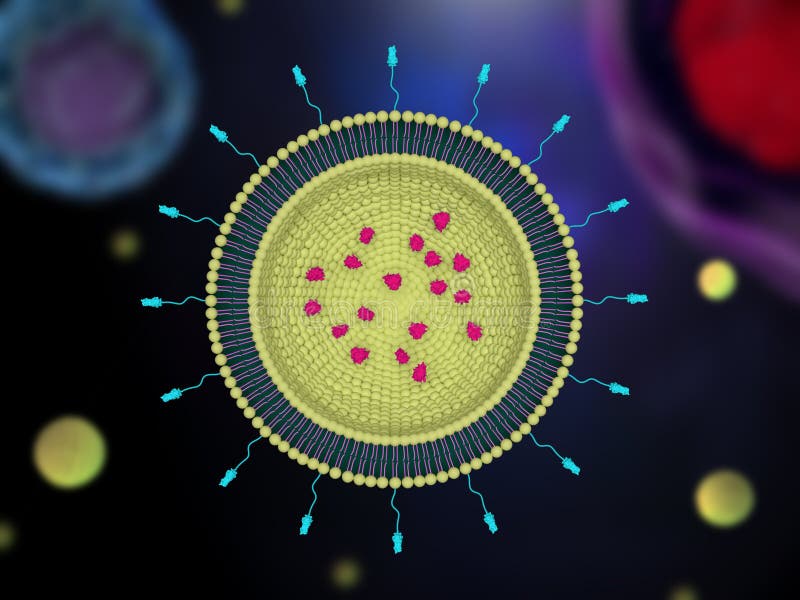 Liposomas Ilustraciones Stock, Vectores, Y Clipart – (96 Ilustraciones ...