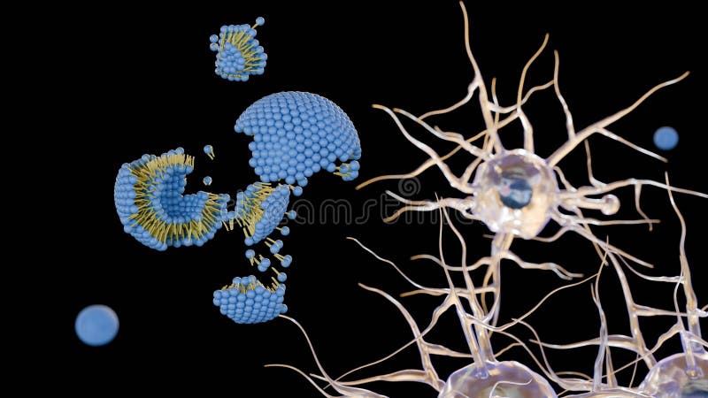 Liposomes Disintegrating within the Brain S Neural Network. Stock ...