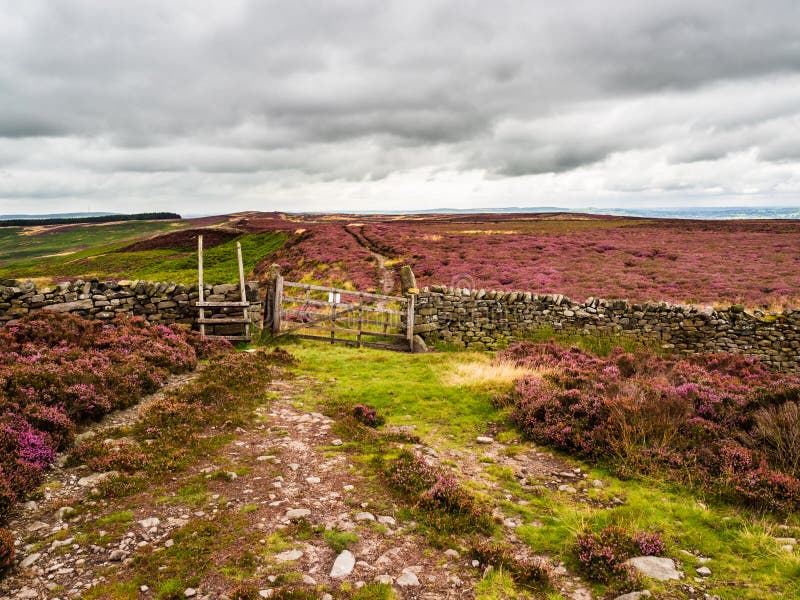 An Old Gate, Stile and Dry Stone Wall on a Track on Open Moorland ...