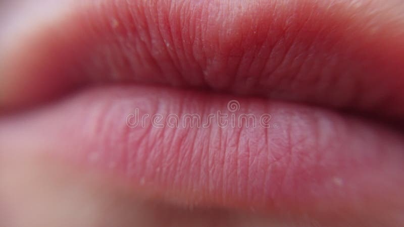 Lips stock photo. Image of rosa, labios, boca, pink - 124055990