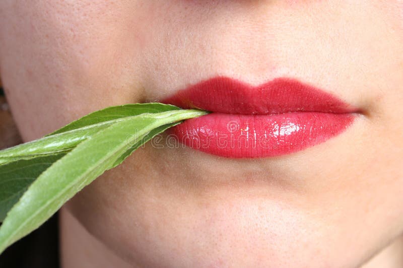 Lips stock photo. Image of family, odour, smell, girlhappy - 702126
