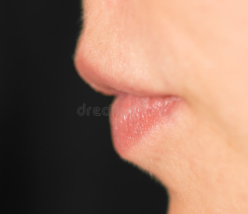 Lips. close stock photo. Image of female, purity, blush - 88710542