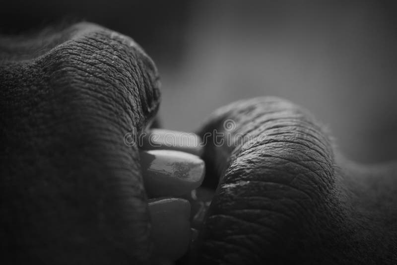 369 Parted Lips Photos - Free & Royalty-Free Stock Photos from Dreamstime