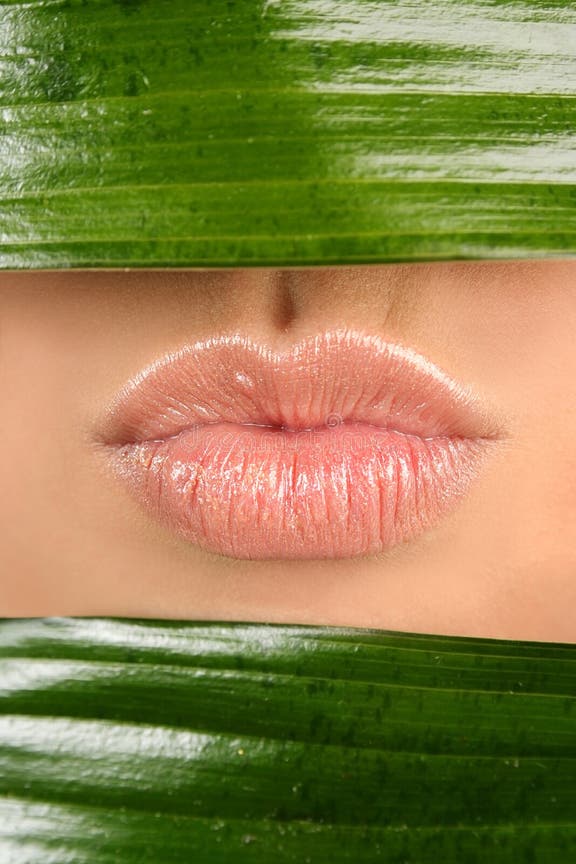 Lips and leaf stock image. Image of cute, pink, face - 13672253