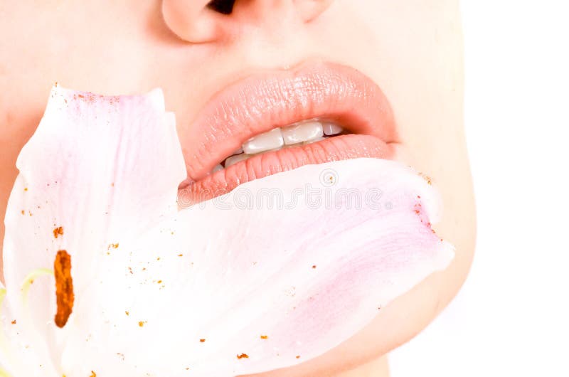 Lips with lily flower stock photo. Image of holding, innocence - 11067352