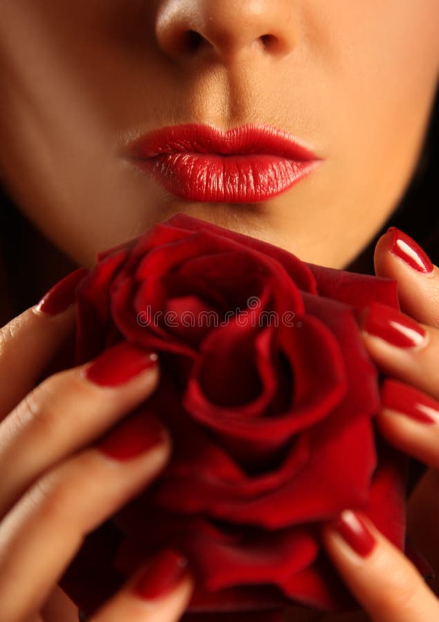 Lips and rose stock photo. Image of gorgeous, girl, valentine - 22976490