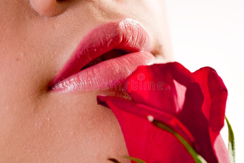 Lips and rose stock image. Image of valentine, love, nose - 4024299