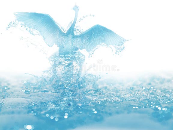 Liquid bird stock image. Image of purity, splashing, beauty - 23399237