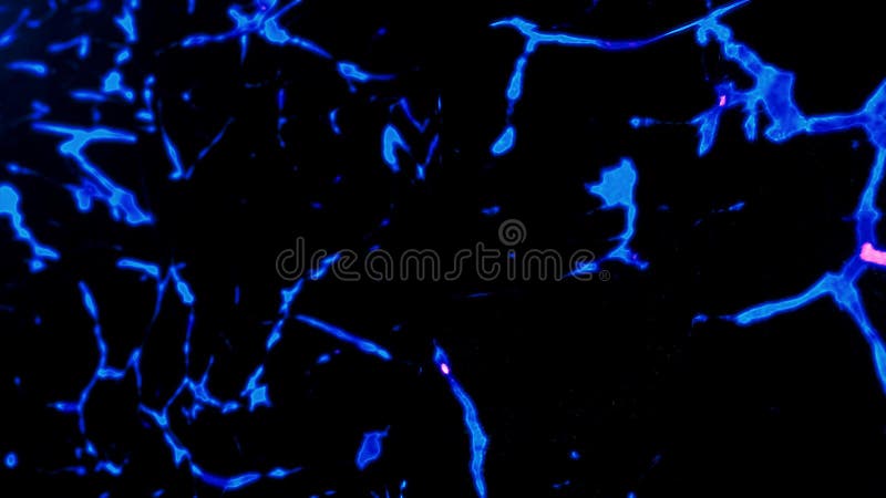 Liquid Blue Substance with Cracks on Surface, Top View, Seamless Loop ...