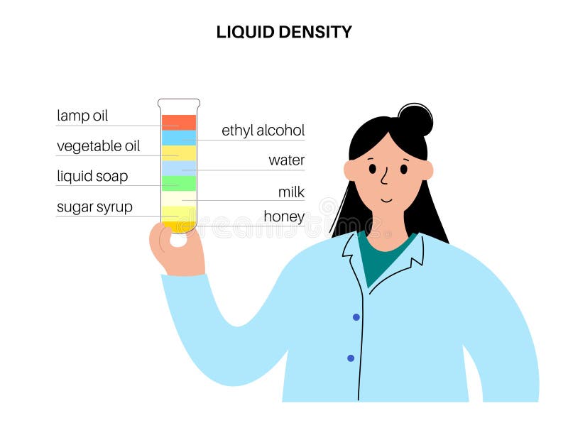 Liquid density experiment stock vector. Illustration of tube - 241486540