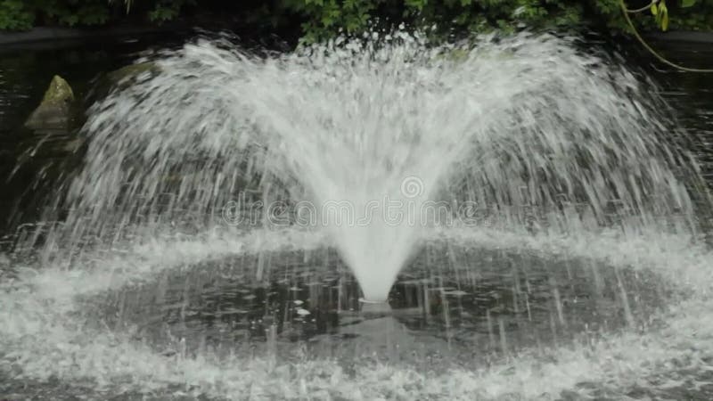 Liquid Elegance: Dynamic Water Jet Display in Park Fountain Stock ...