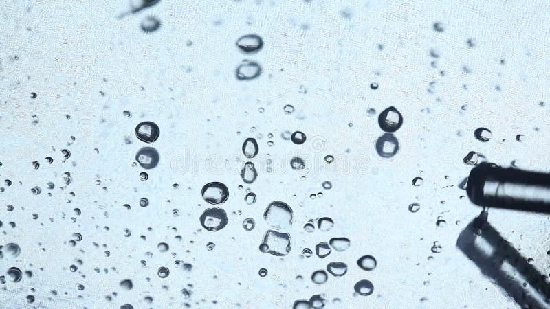 Liquid Moving Under a Microscope Stock Footage - Video of microscope ...