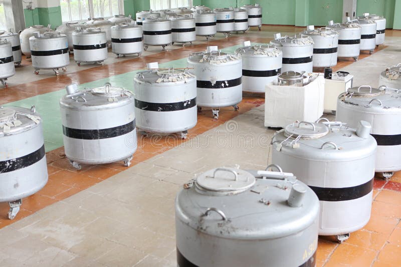 Liquid nitrogen laboratory stock photo. Image of compartment - 75744844