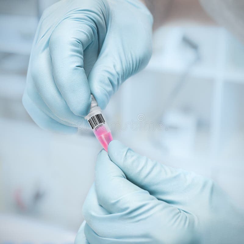 Liquid Sample in Hands of a Scientist Stock Image - Image of blue ...