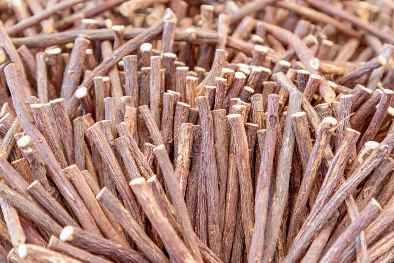 Liquorice. Fresh Licorice Root Stock Image - Image of licorice, flavour ...