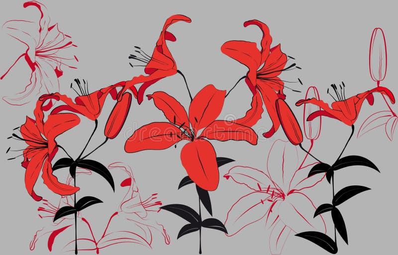 Lirios rojos ilustración del vector. Ilustración de cubo - 23997205