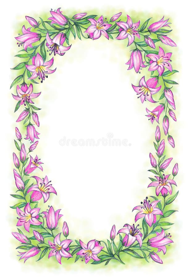 Lis Rose Sensible Dessin Au Crayon Illustration Stock - Illustration du ...