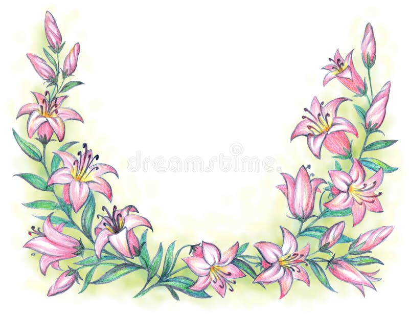 Lis Rose Sensible Dessin Au Crayon Illustration Stock - Illustration du ...