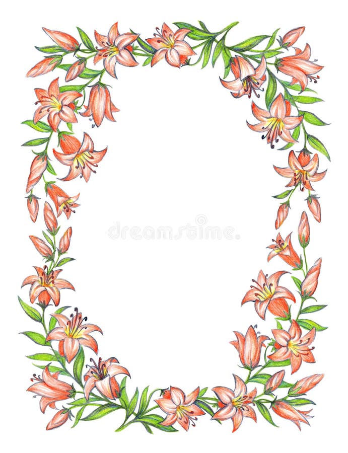 Lis Rose Sensible Dessin Au Crayon Illustration Stock - Illustration of ...