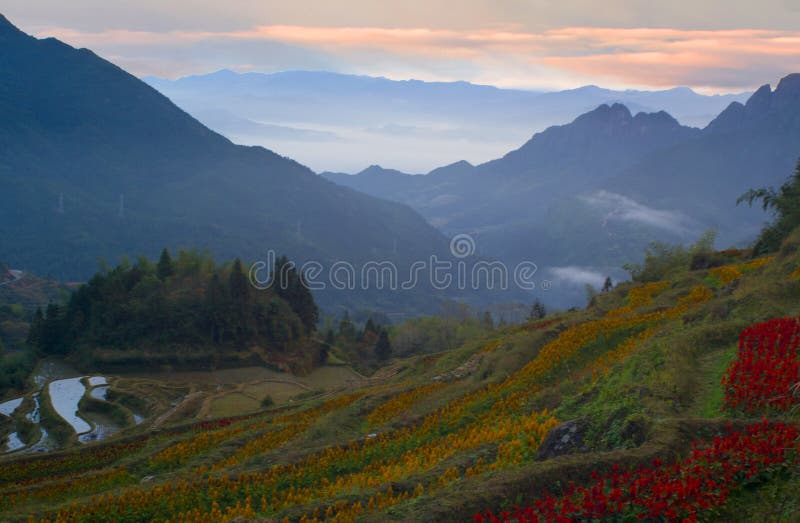 Lishui scenery stock photo. Image of flower, lishui, clouds - 62715512