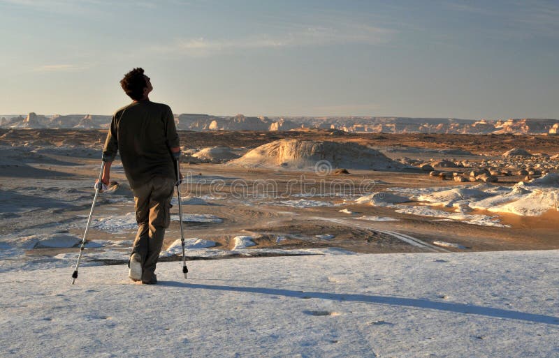 Lisiado En El Desierto Blanco Imagen de archivo editorial - Imagen de ...