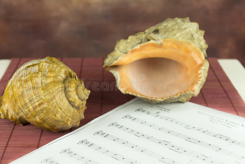 Listen to the music stock image. Image of music, shell - 78318045