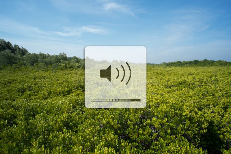 Listen To the Sounds of Nature. Stock Image - Image of tree, hear: 46747275