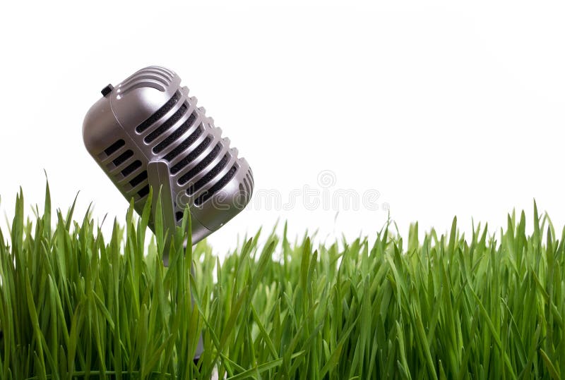 Listening to nature stock photo. Image of green, reporter - 24140808